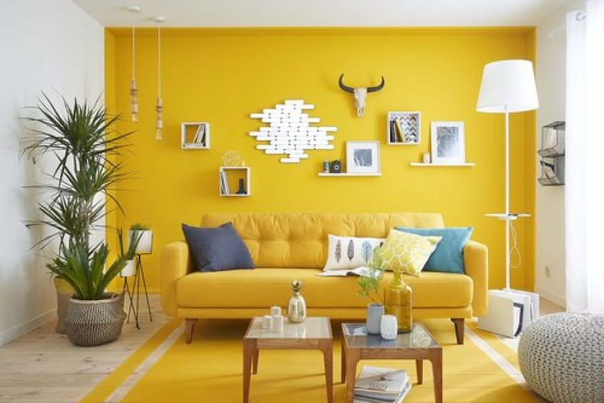 Interior House Painting Process | Step-by-Step Guide - Sunshine Home ...